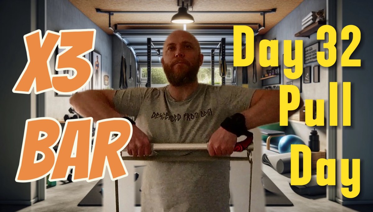 Day 32: My X3 Bar Workout: Pull Day: building muscle as a hybrid ...